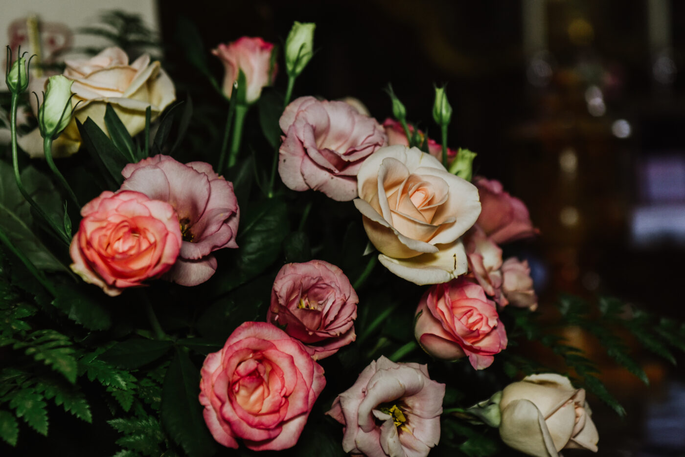 Essential Tips for Maintaining Vibrant Rose Plants - Explore The Phenomena